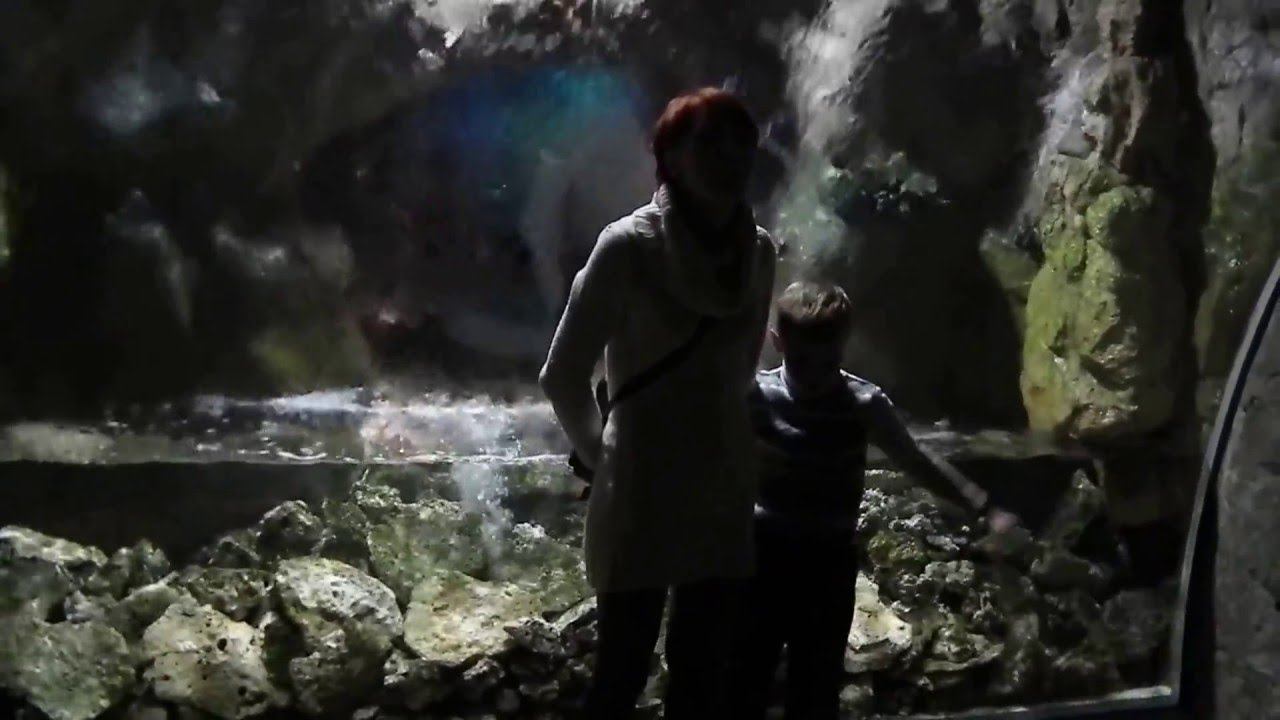 питер 2015_осень_DSCF2282