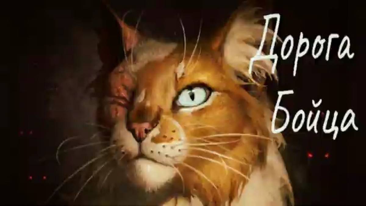 zakaz-koti-voiteli-yarolika-doroga-boyca-louna_(videomega.ru)
