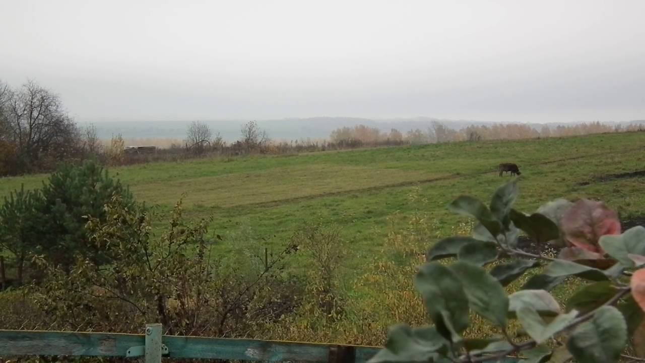 лазазей 2016_осень_DSCF2292