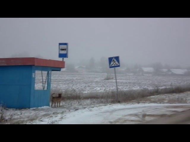 лазазей 2017 зима наступает