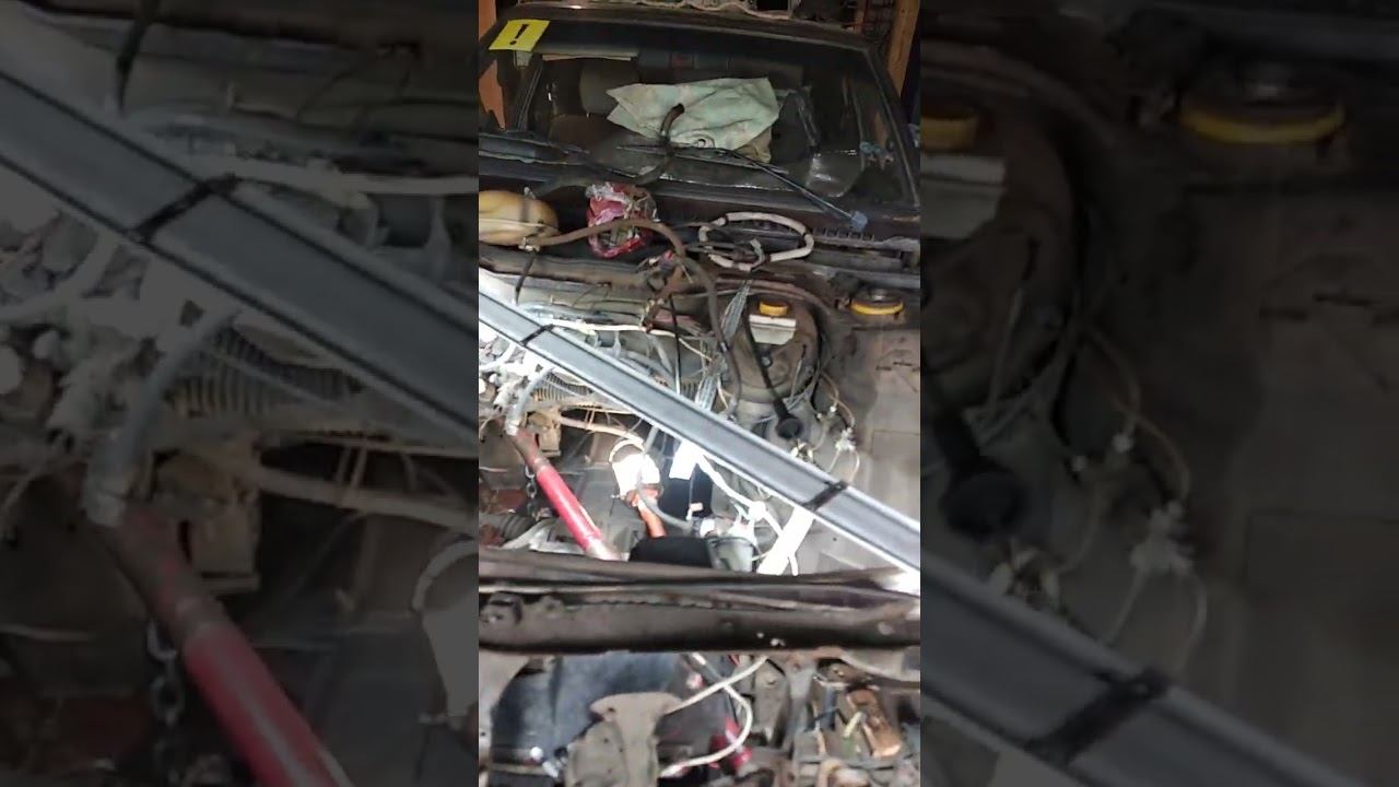 17 октября 2024 г.