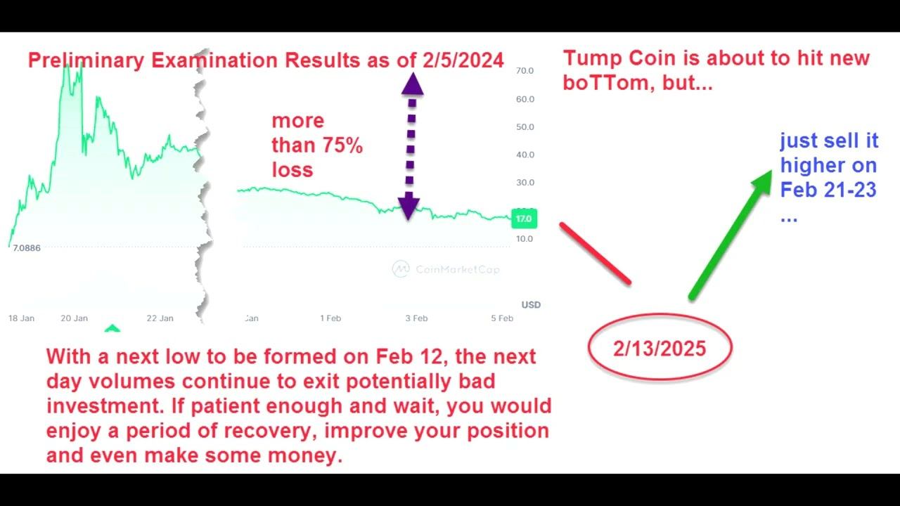 Trump Coin's Big Crash: Exit Strategy and Commentary