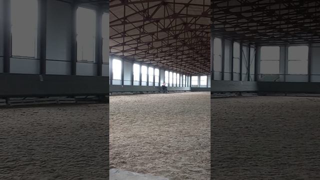 20230703_165106-Мурз-лошадки