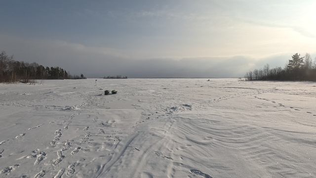 Рыбалка на Аргазях. 17-я курья, окунь 07 февраля 2025.