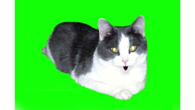 Лушка радуется празднику