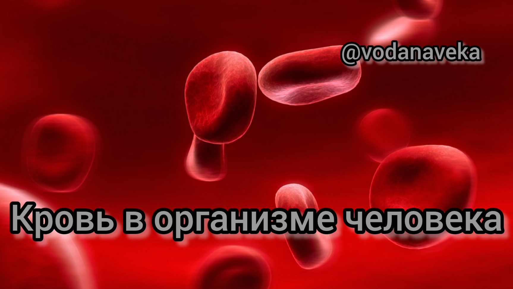 КРОВЬ. О.А.Бутакова