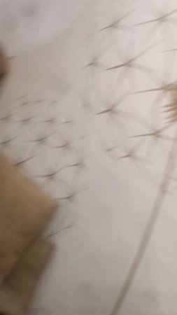 Обзор