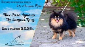 Ах если бы ты выбрала меня.....