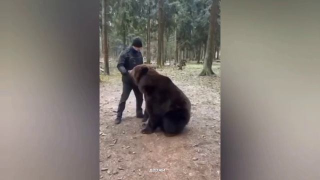 #Умные животные, #smart animals