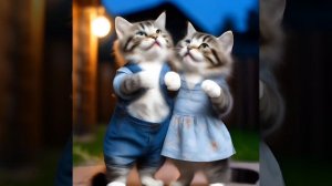 А на деревне ночь. Котоклип. Поёт группа "Старое кафе".