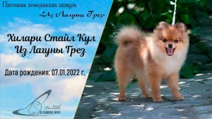Хилари Стайл Кул Из Лагуны Грез