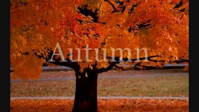 Four Seasons ~ Vivaldi.480p