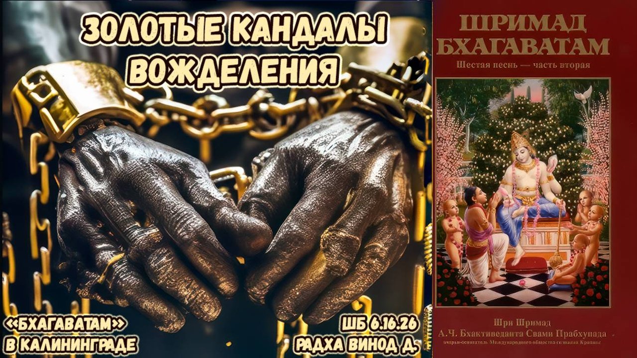 Золотые кандалы вожделения. Радха Винод д. ШБ 6.16.26