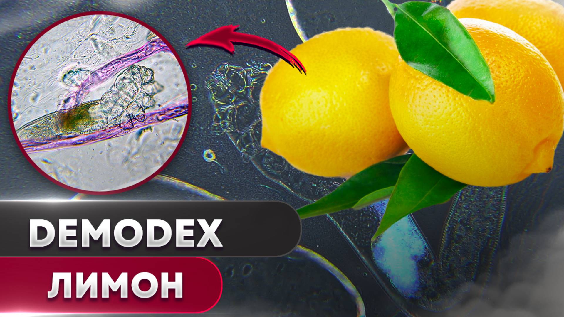 Лимон против клеща | Угревая Железница Demodex