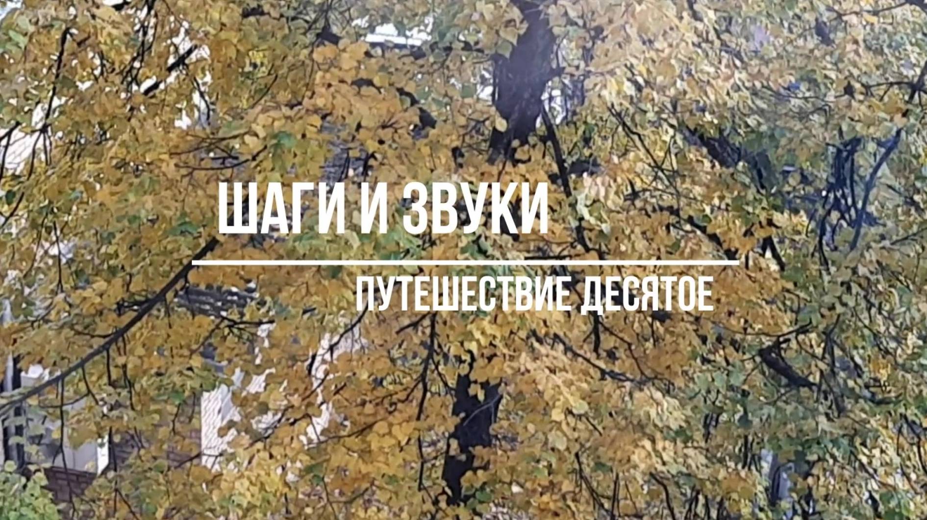 Шаги и звуки 10. Листья