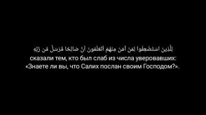 Сура Аль-А'раф (Ограды) 73-79 аяты. Мухаммад аль люхайдан 1425г рамадан