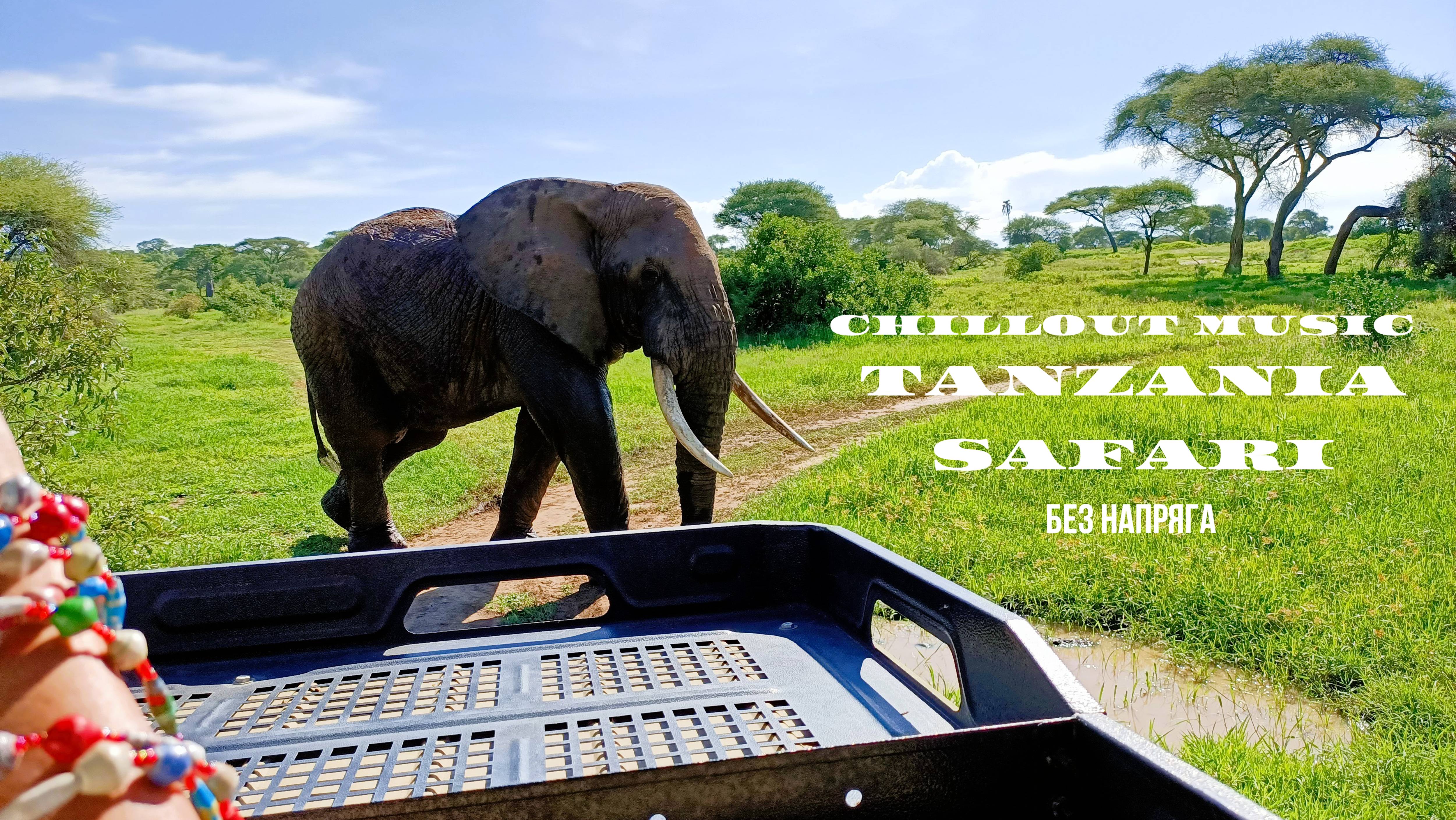 CHILLOUT MUSIC TANZANIA SAFARI БЕЗ НАПРЯГА