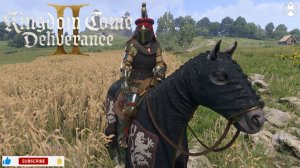 Лев на гербе ► Kingdom Come: Deliverance II ► Доспехи Брунцвика