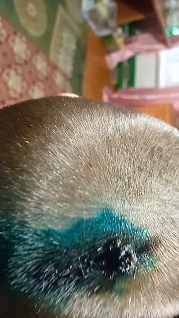 09-02-2025