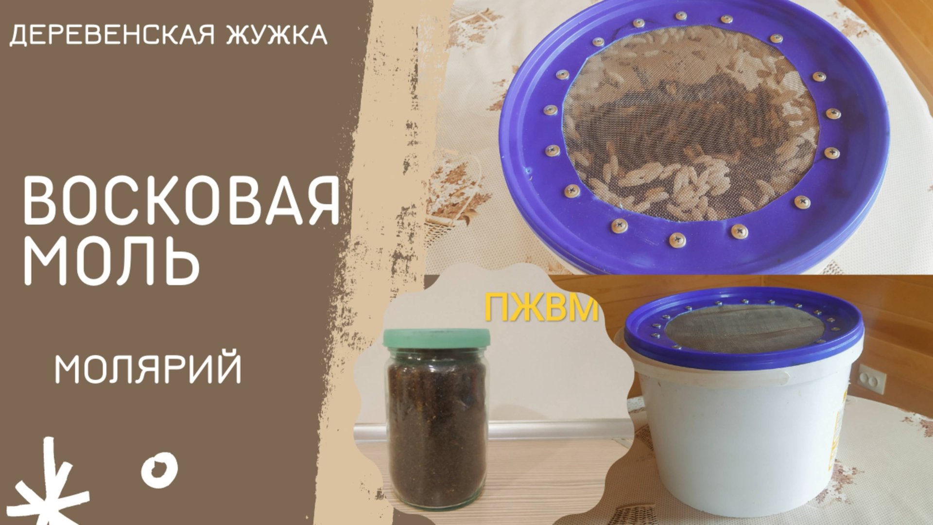 Восковая моль. Огневка пчелиная ПЖВМ. Как сделать малярий