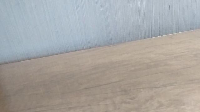 приключения медведя Валеры 1 выпуск