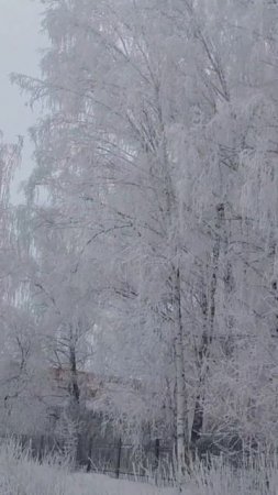 Зимняя сказка