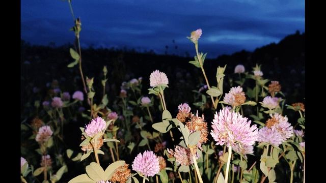 А  Барто  Вовка -  добрая душа  Сборник #стихидлядетей #поэты20века