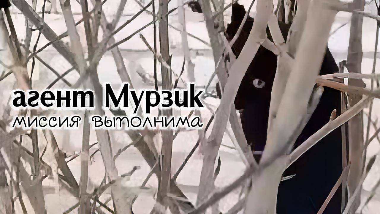 Миссия выполнима. Агент Мурзик