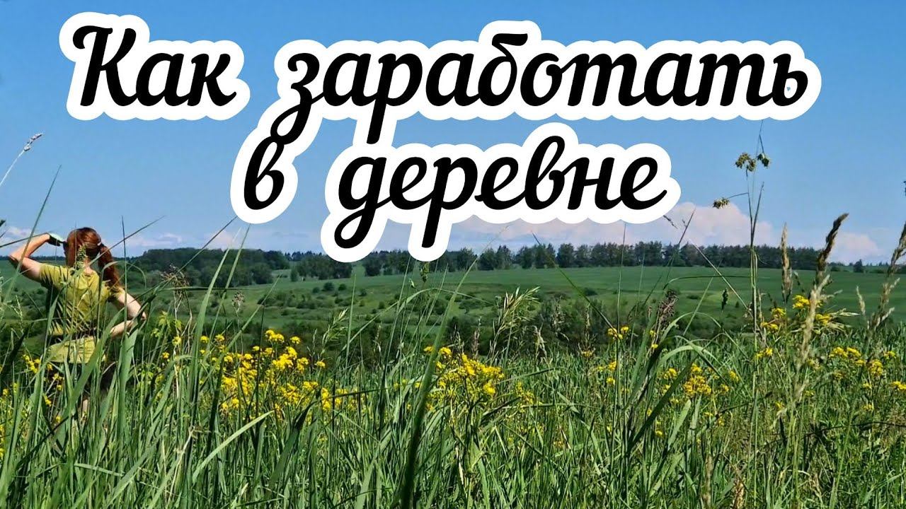 Как заработать в деревне? Мой опыт удаленной работы 