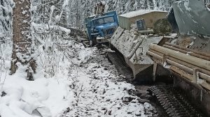 Жабуля спешит на помощь