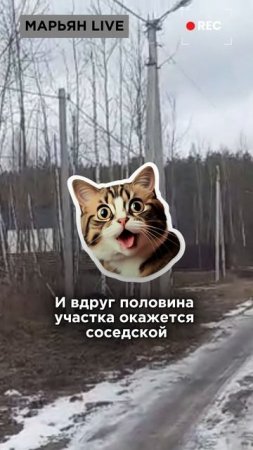 Хорошо подумайте прежде, чем покупать земельный участок без межевания.