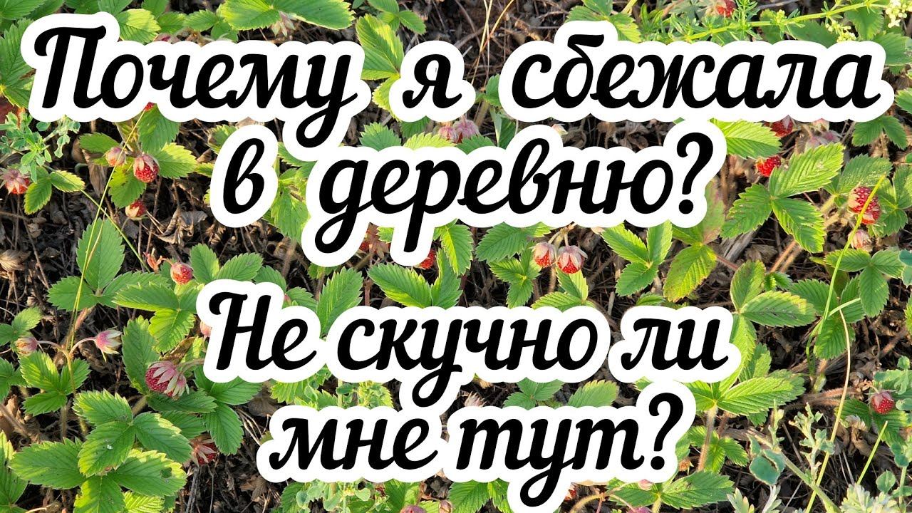 Почему я сбежала в деревню? Не скучно ли мне тут? В чем польза одиночества? (АУДИОПОДКАСТ)