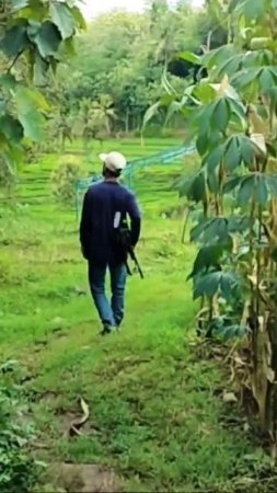 masuk hutan berburu biawak #shorts #berburu #menuju1000subscriber