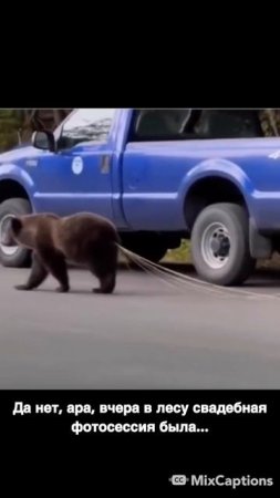 Ах эта свадьба ...
