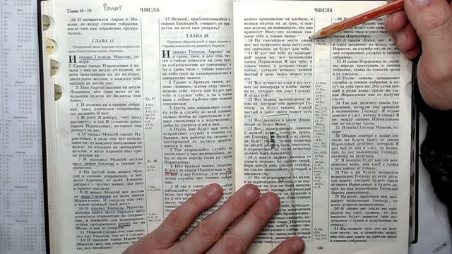 16. Числа 17 глав