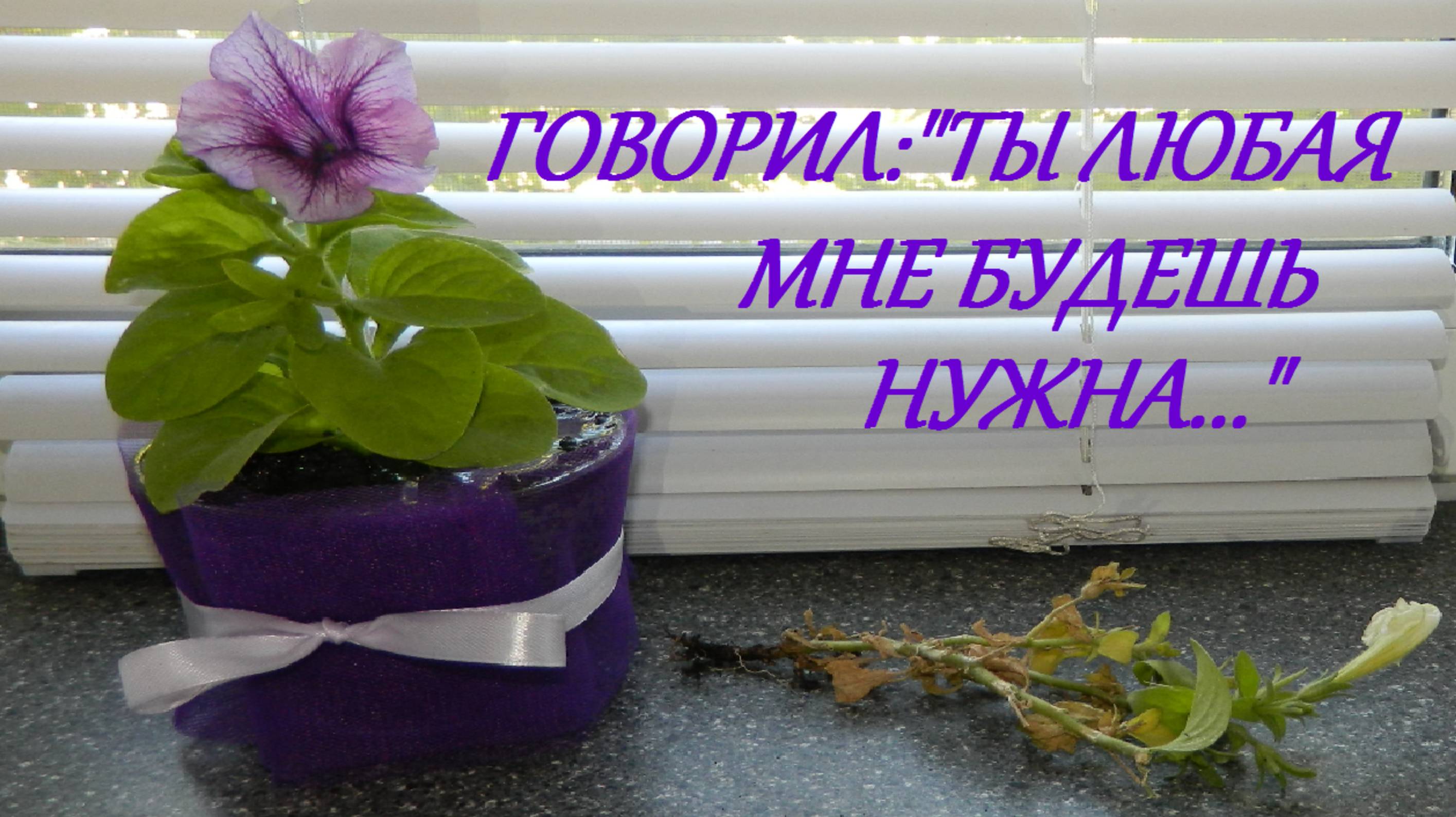 Стихи ПРО ИЗМЕНУ И ЛЮБОВЬ до слез/стих ГОВОРИЛ:"ТЫ ЛЮБАЯ МНЕ БУДЕШЬ НУЖНА" про измену и любовь