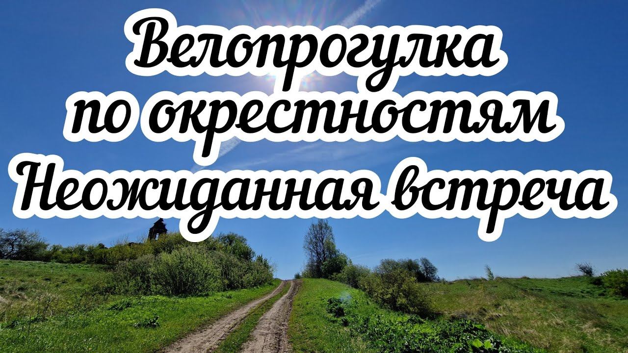 Велопрогулка по окрестностям  Неожиданная встреча