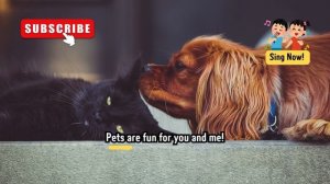 Pets