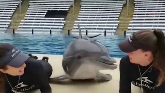 Любвеобильный