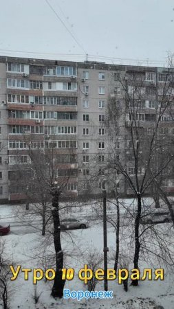 Утро 10 февраля