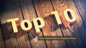 Топ - 10 Самых Удивительных Ящериц в Мире