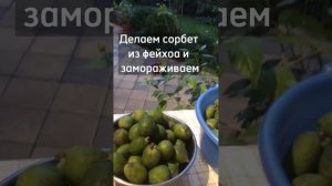 24 ноября 2022 г.