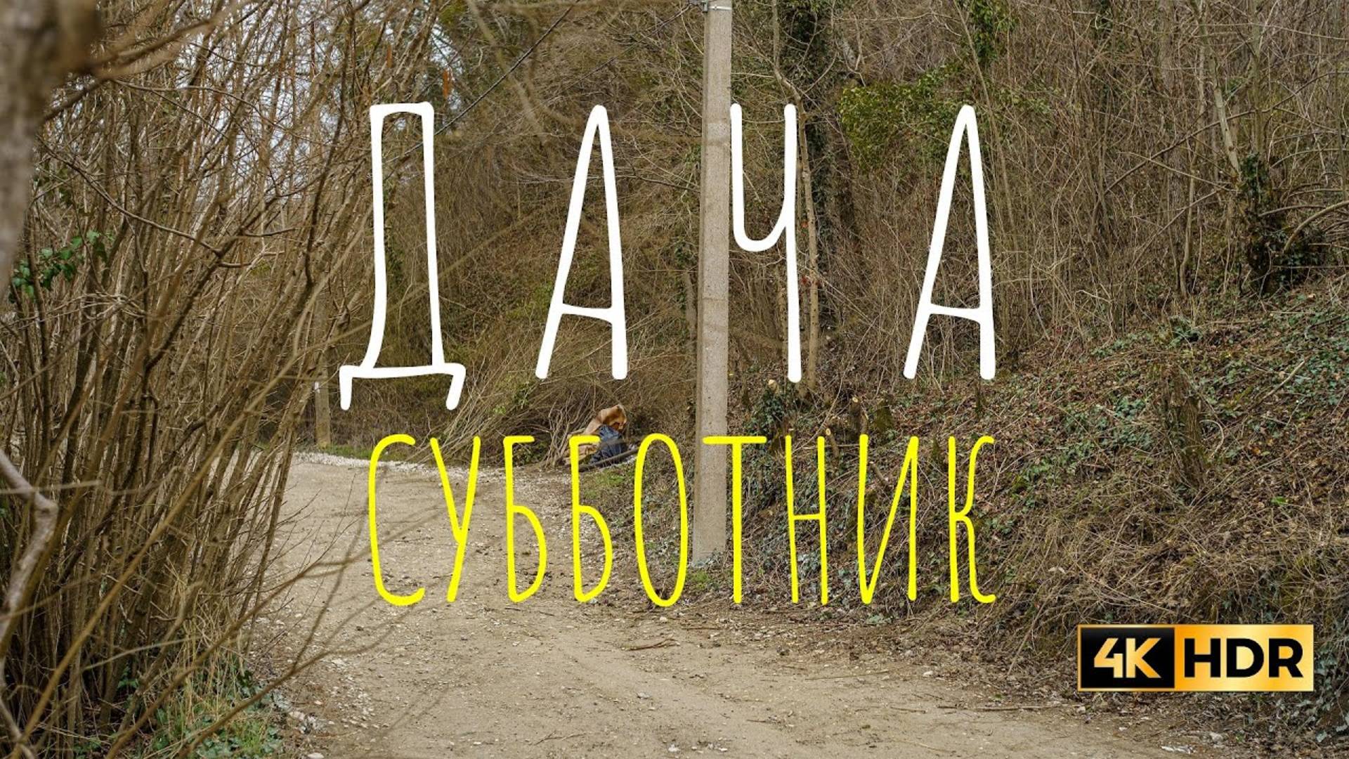 ДАЧА / СУББОТНИК И КАК С НИМ БОРОТЬСЯ / ИСТОРИЯ ВОЗНИКНОВЕНИЯ СУББОТНИКА