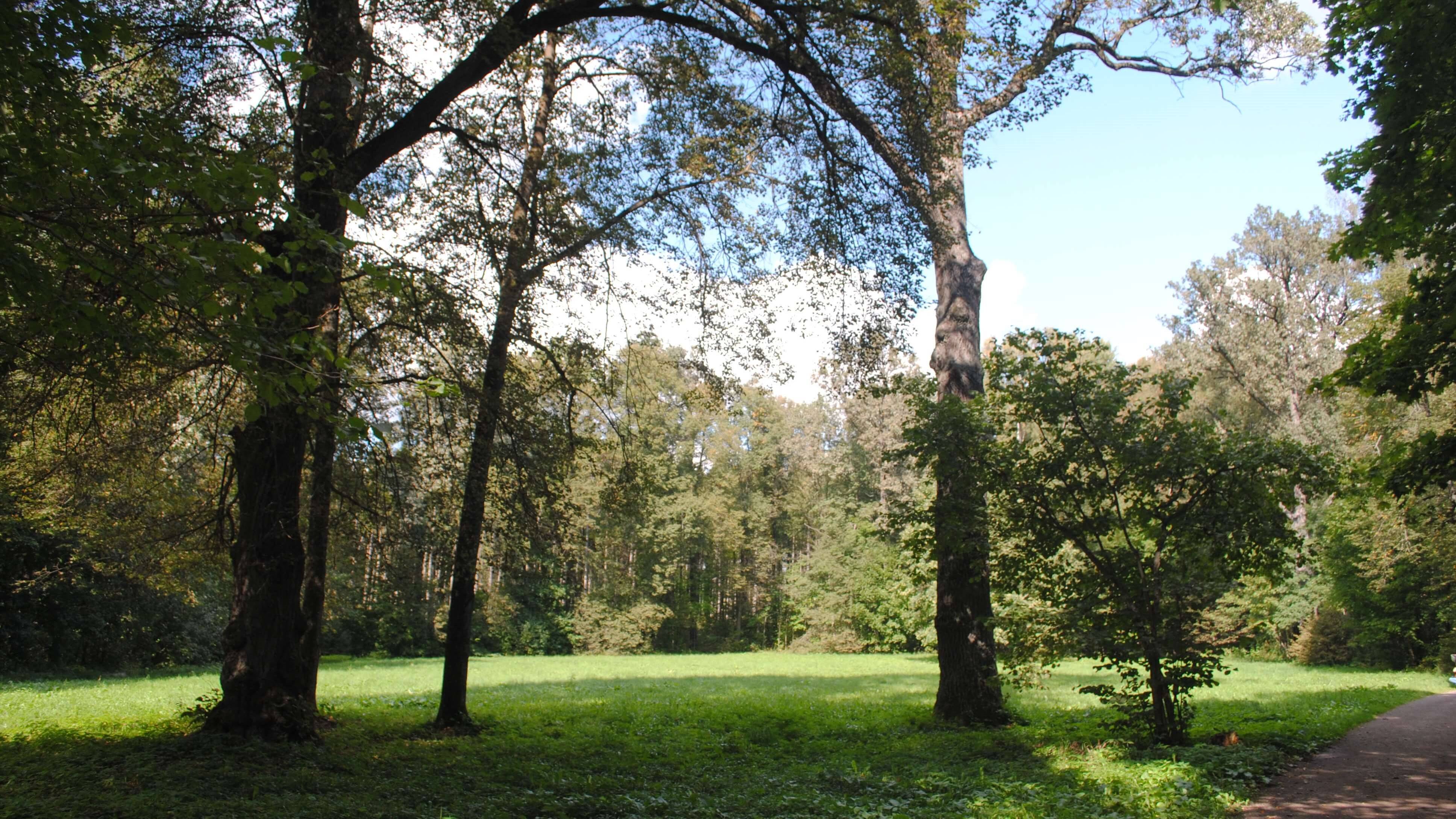 "Ясная поляна" из цикла "Литературная поездка" ("Yasnaya Polyana" from the series "Literary trip")