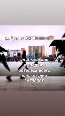 Москва, м. Щелковская, ул. Алтайская д.26
