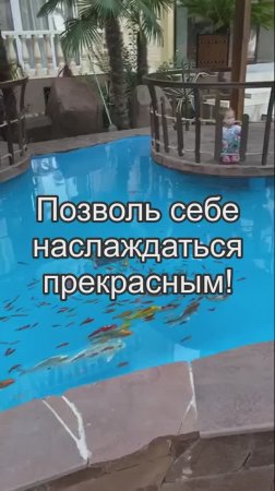 Бассейн-пруд с рыбами. Отель Оскар Сочи! #фонтан #бассейн #пруднадаче #отдых #ландшафтныйдизайн