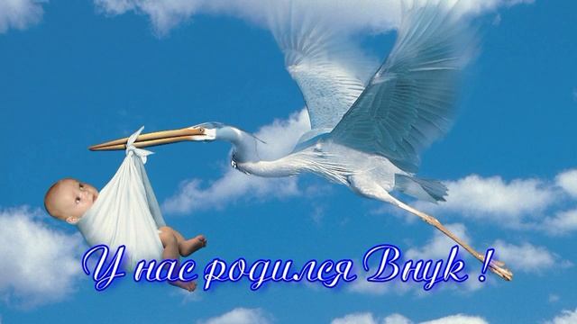 У нас родился внук !!!