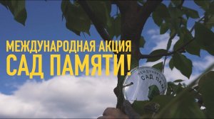 "Сад памяти" Делаем родной город лучше - сажаем деревья в преддверие Дня Победы!