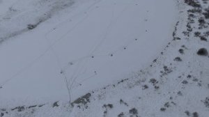 Уикэнд на Вуоксе в Лосево, природа, рыбалка.