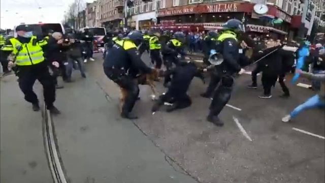 Амстердам, мирная демонстрация против коронавирусных мер, граждан травят собаками и избивают палками